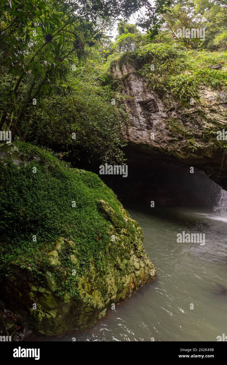 Stunning rainforest with dense, lush landscape surrounding the ...