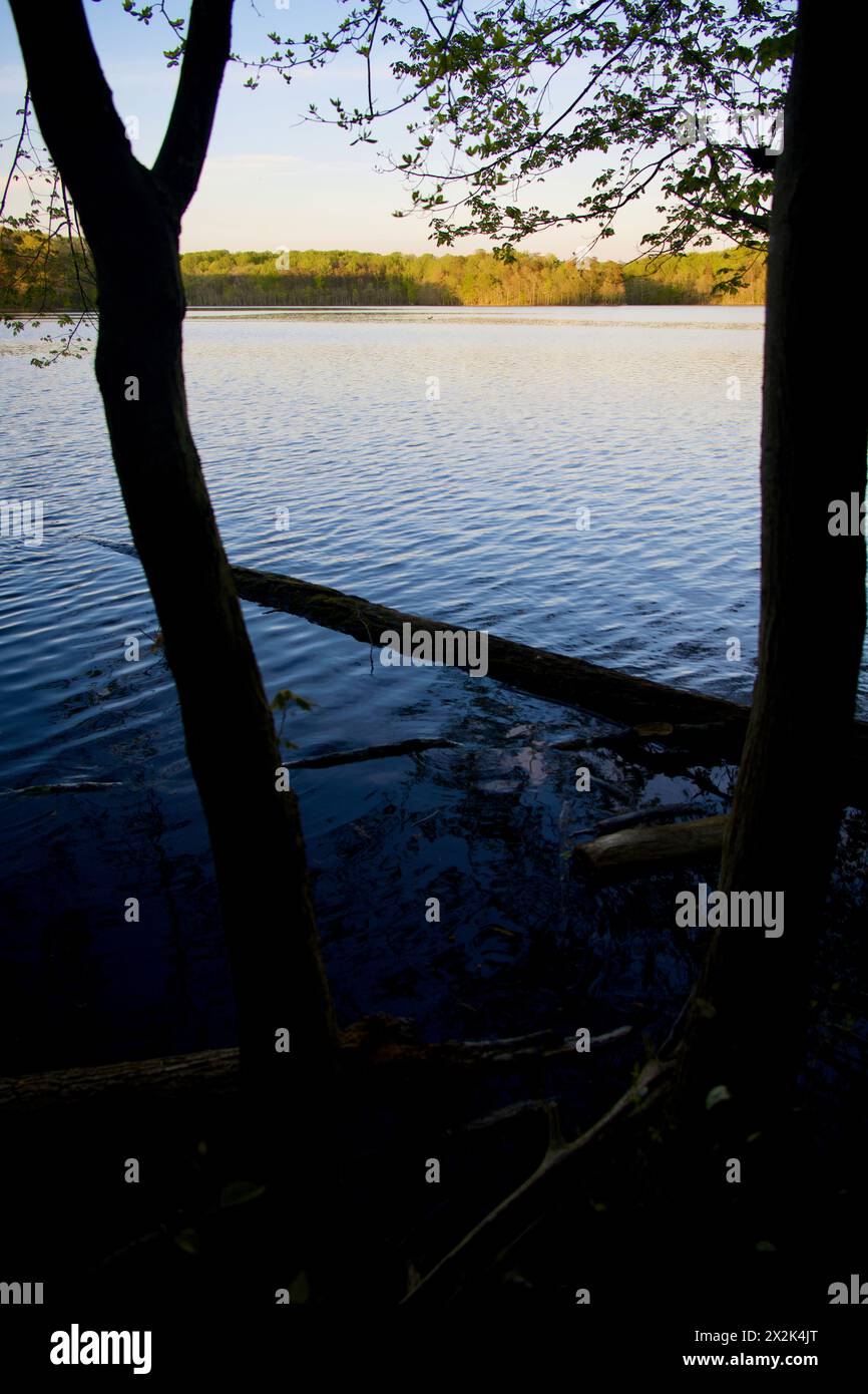 Burke, Virginia, USA - April 18, 2024: A peaceful scene at sunset along ...