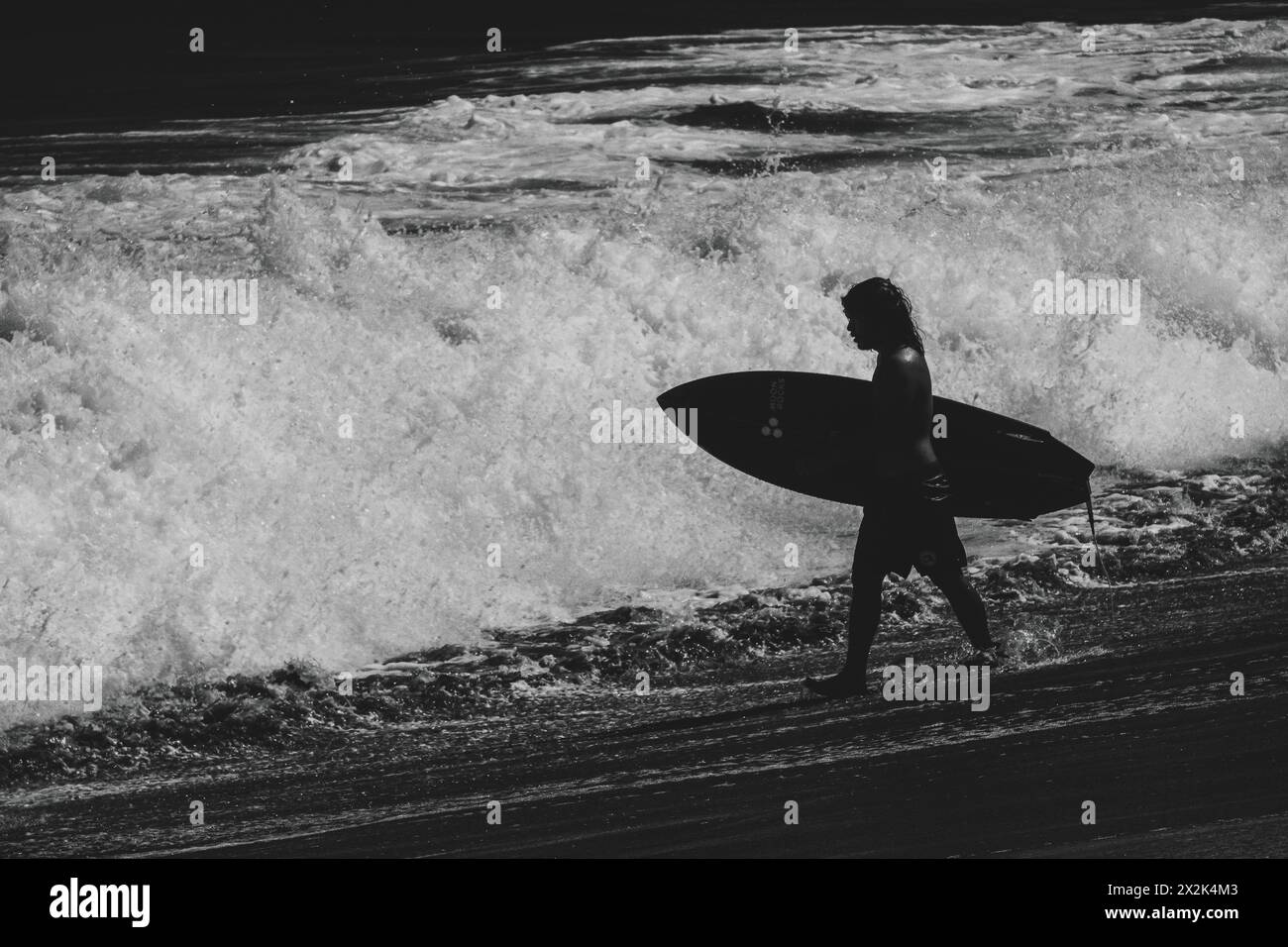 A monochrome image of a surfer holding his board as he walks beside tumultuous ocean waves. The ...