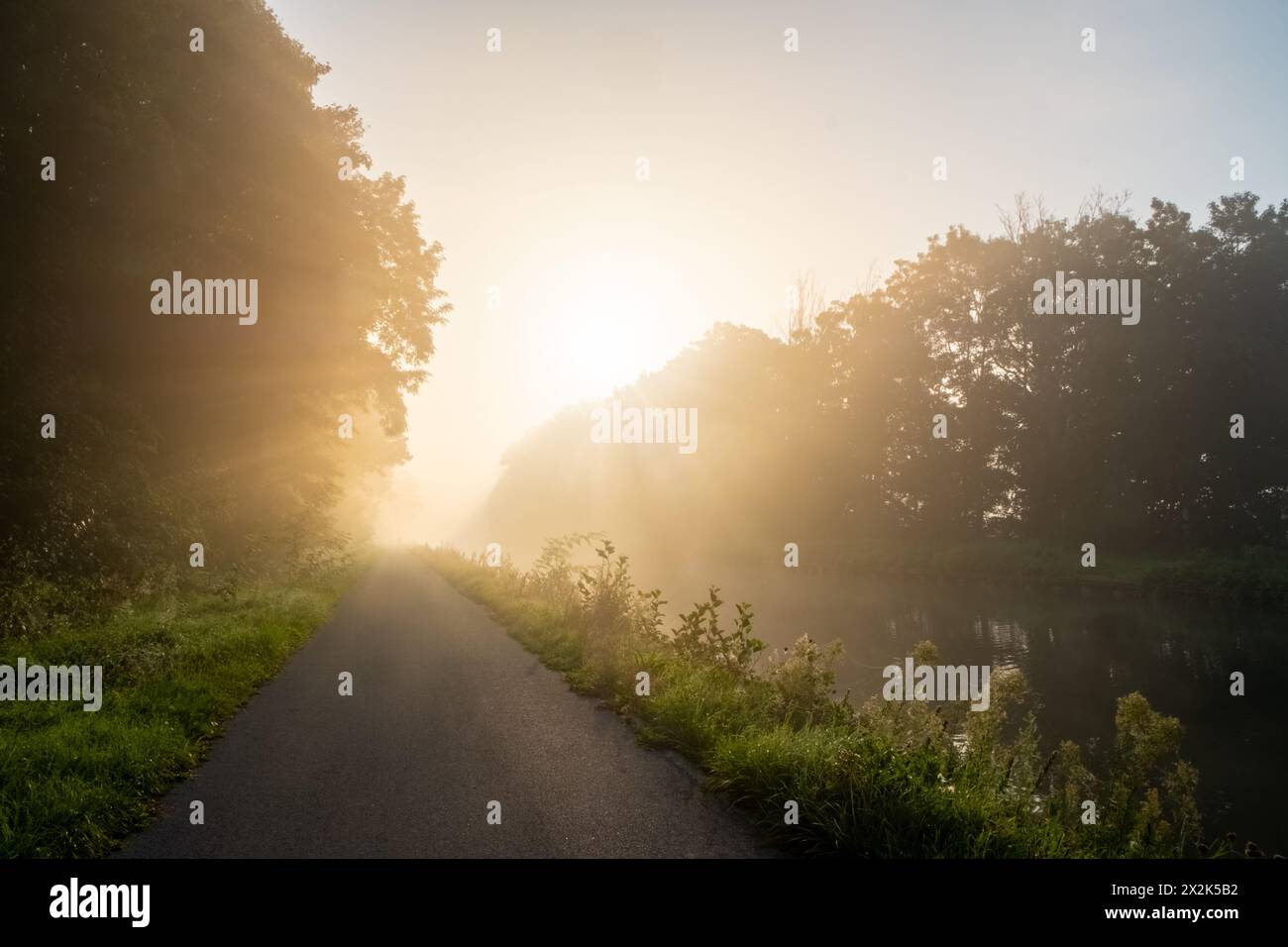 Enshrouded path hi-res stock photography and images - Alamy
