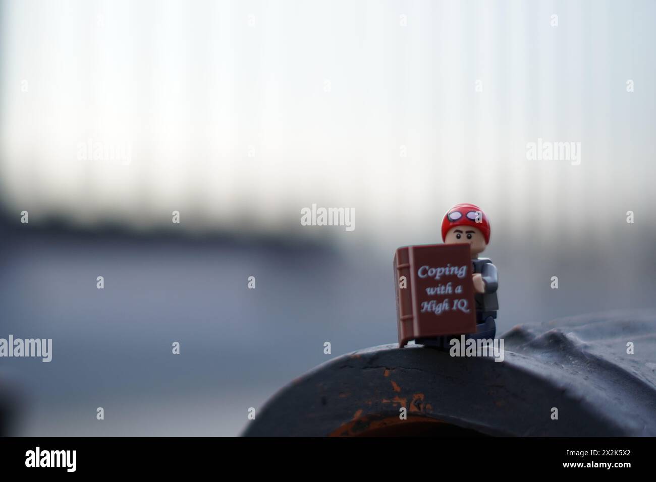 Lego minifigure Peter Parker sitting and reading a book with blurred ...