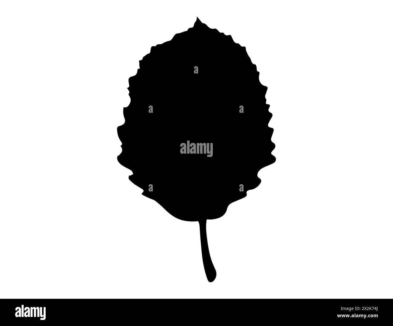 Aspen leaf silhouette vector art Stock Vector Image & Art - Alamy