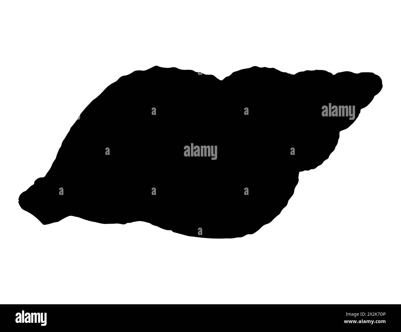 Shell wildlife mollusk background Black and White Stock Photos & Images ...