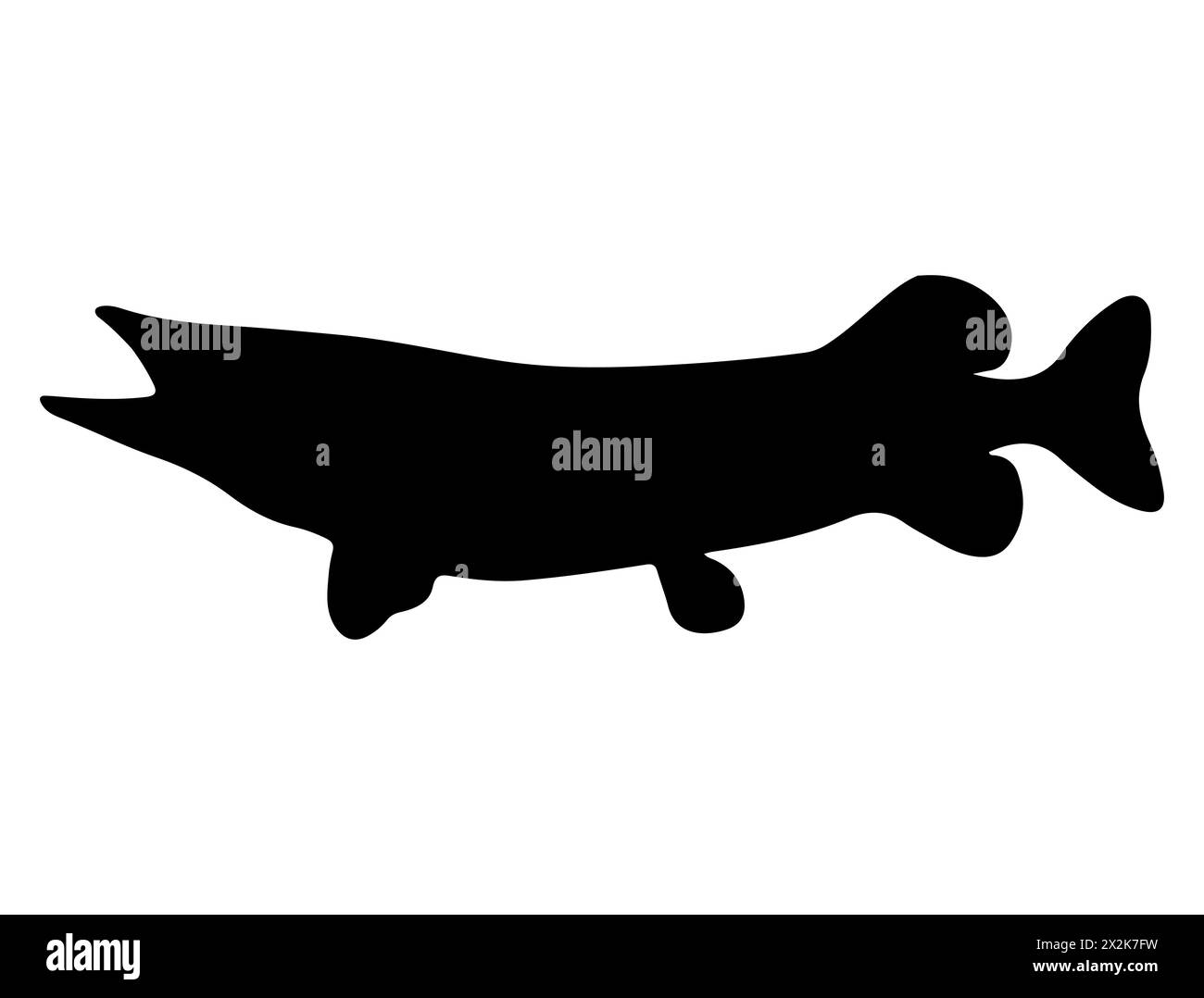 Vector musky fish hi-res stock photography and images - Alamy
