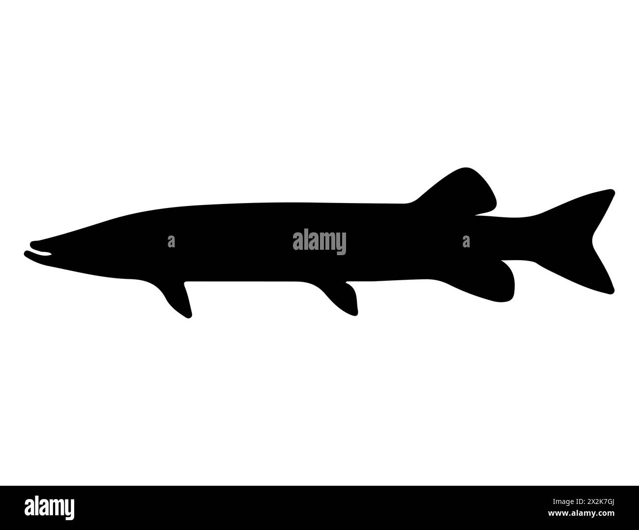 Muskellunge fish silhouette vector art Stock Vector Image & Art - Alamy