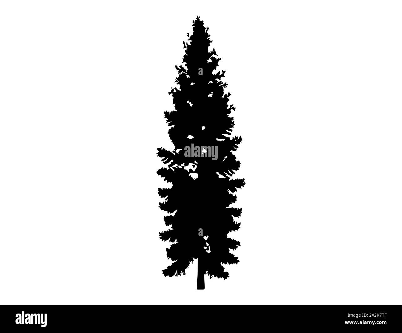 Silhouette pine tree hi-res stock photography and images - Alamy