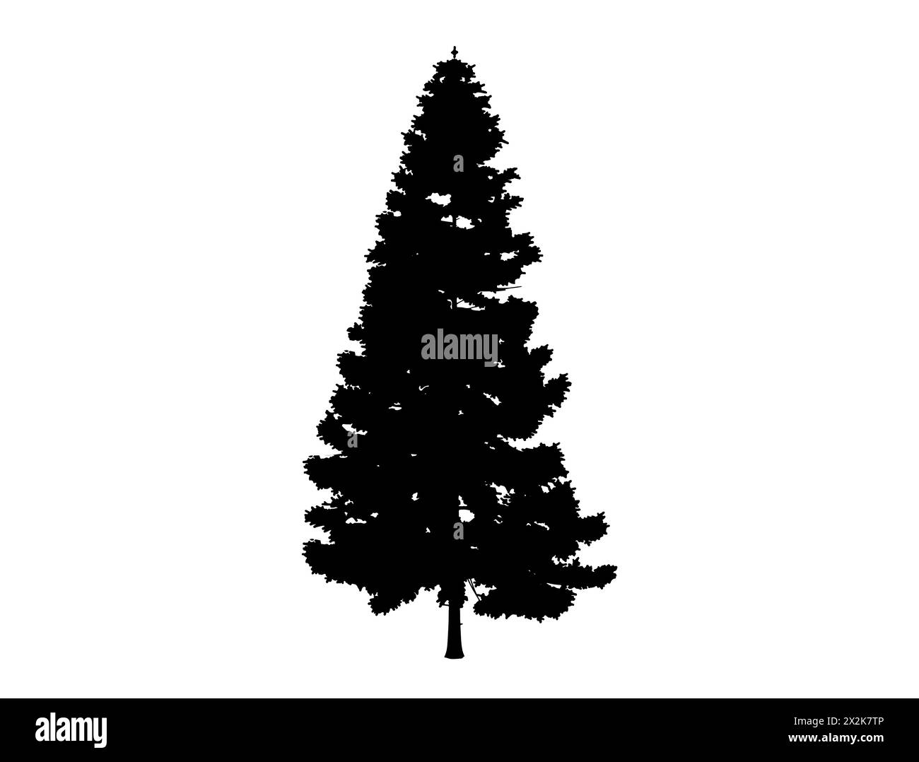 Silhouette pine tree hi-res stock photography and images - Alamy