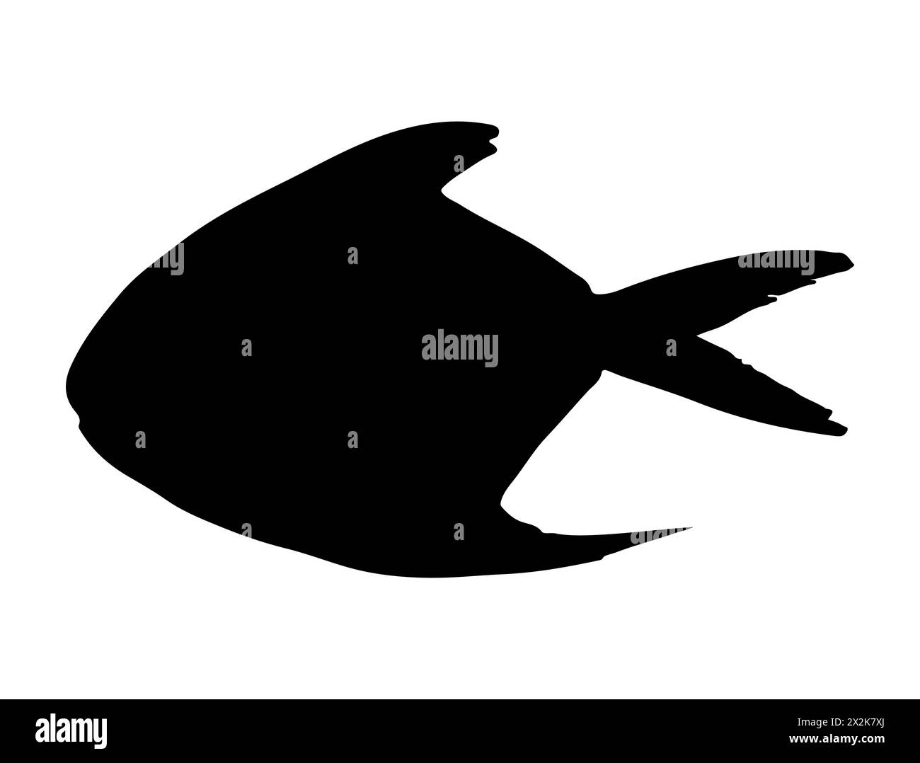 Vector silhouette fish animal Cut Out Stock Images & Pictures - Alamy