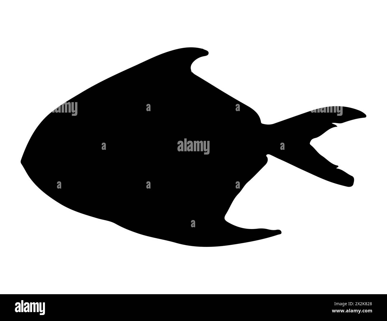 Pomfret fish silhouette vector art Stock Vector Image & Art - Alamy