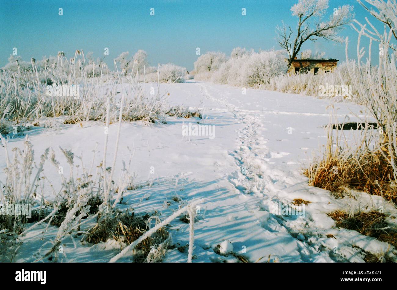 Winter landscape field with grass covered with snow Stock Photo - Alamy