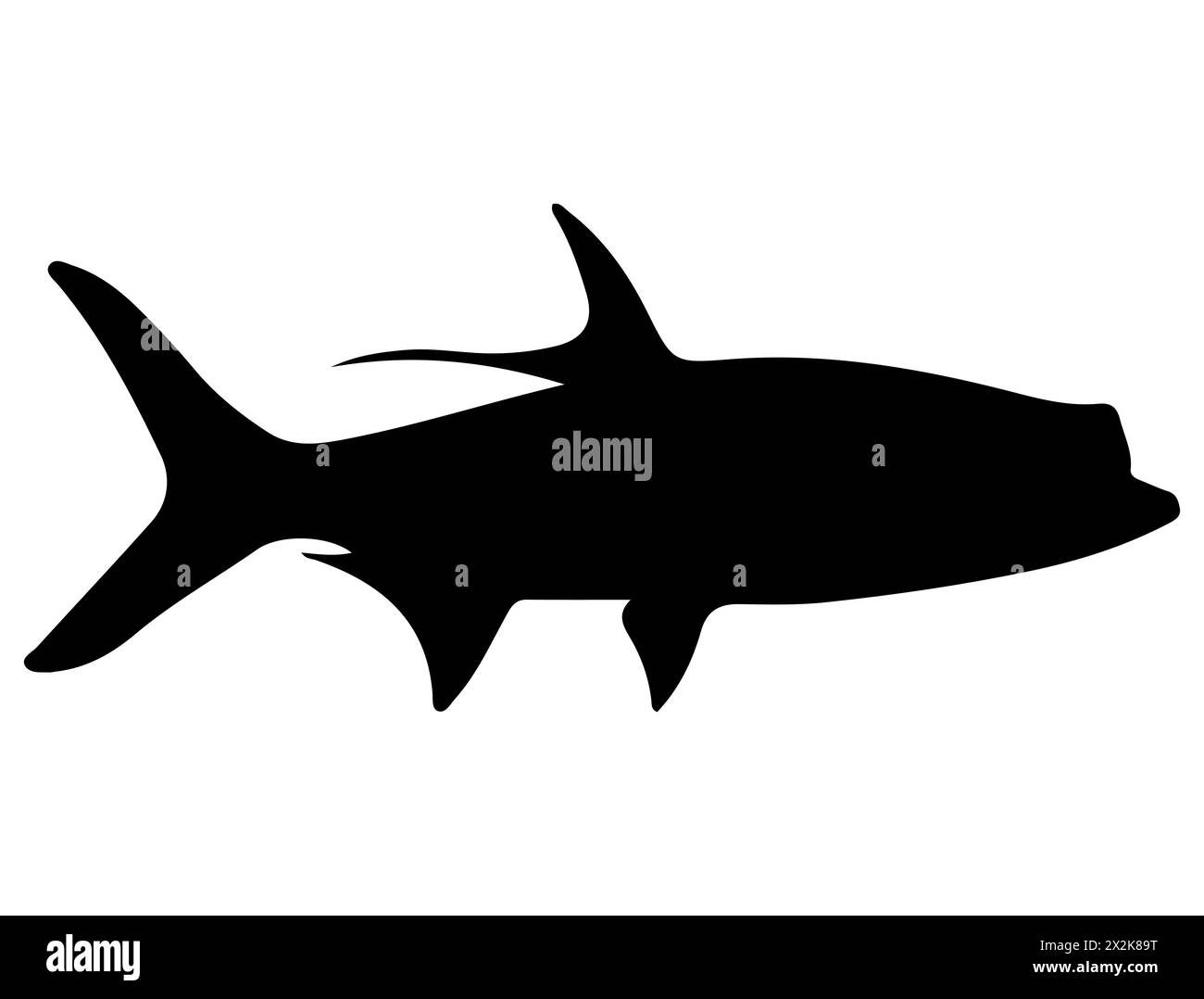 Tarpon fish silhouette vector art Stock Vector Image & Art - Alamy Tarpon fish silhouette vector art Stock Vector Image & Art - Alamy