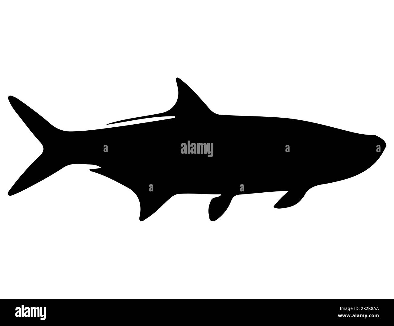 Tarpon fish silhouette vector art Stock Vector Image & Art - Alamy Tarpon fish silhouette vector art Stock Vector Image & Art - Alamy
