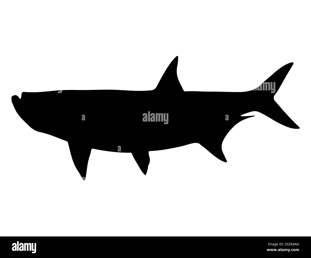 Tarpon fish silhouette vector art Stock Vector Image & Art - Alamy Tarpon fish silhouette vector art Stock Vector Image & Art - Alamy