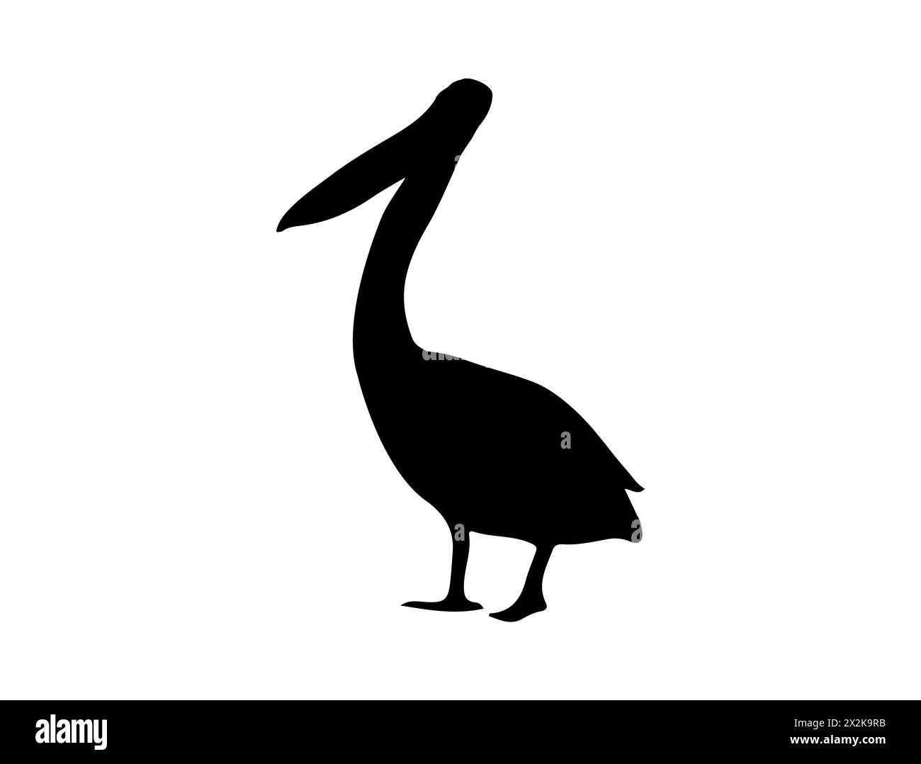 Pelican silhouette vector art Stock Vector Image & Art - Alamy