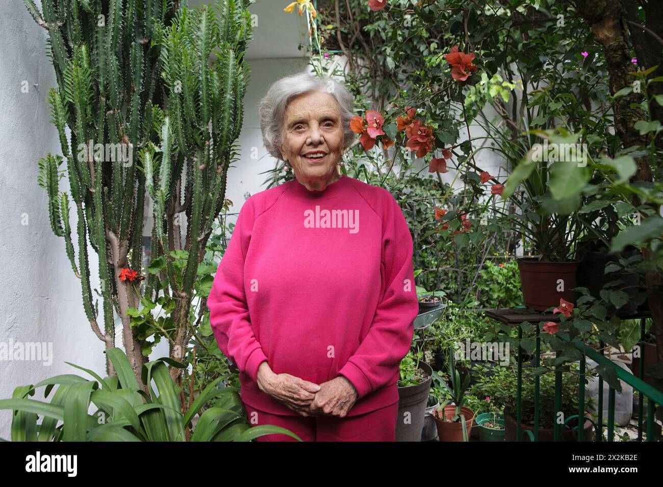 Portrait of Elena Poniatowska 10/08/2018 ©Isabella De Maddalena/opale.photo Stock Photo - Alamy