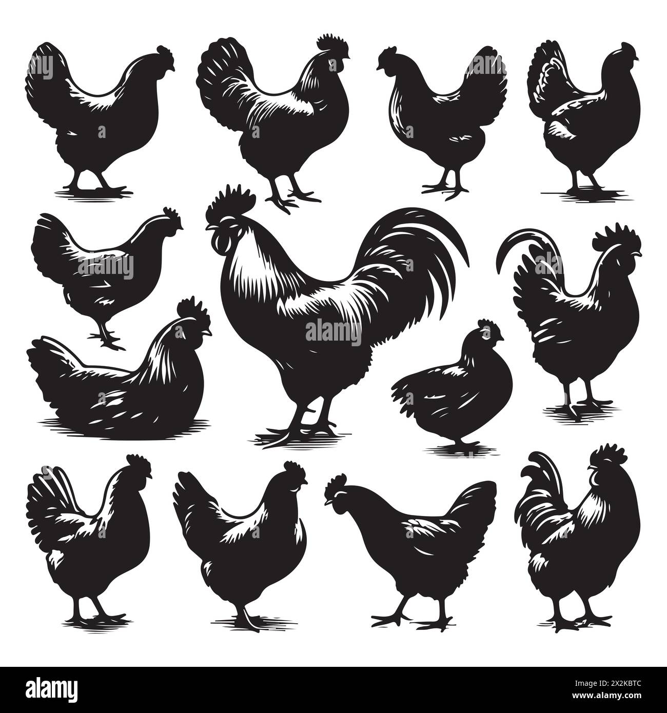 Chickens rooster farm bird Stock Vector Images - Alamy