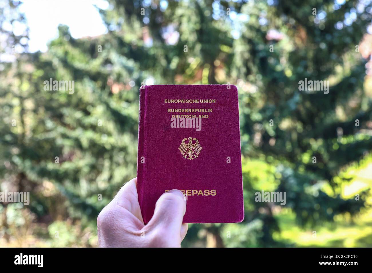 Deutscher Reisepass *** German passport Copyright: xLobeca/RHx Stock ...
