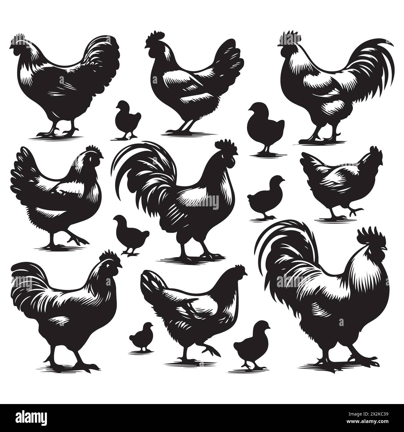 Silhouette set of chicken Stock Vector Image & Art - Alamy