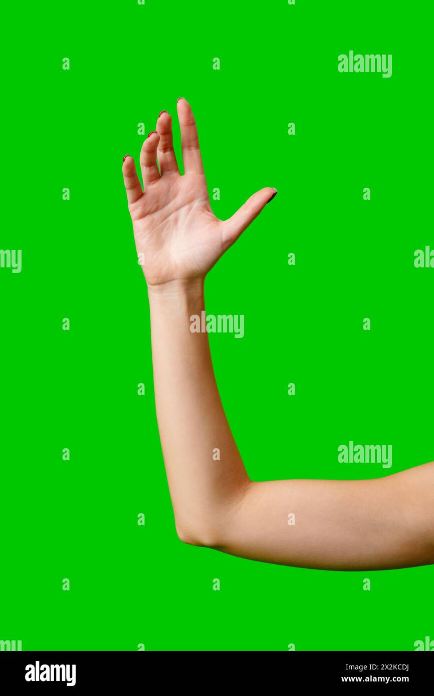 Womans Arm Hand Sign Raised in the Air Stock Photo - Alamy