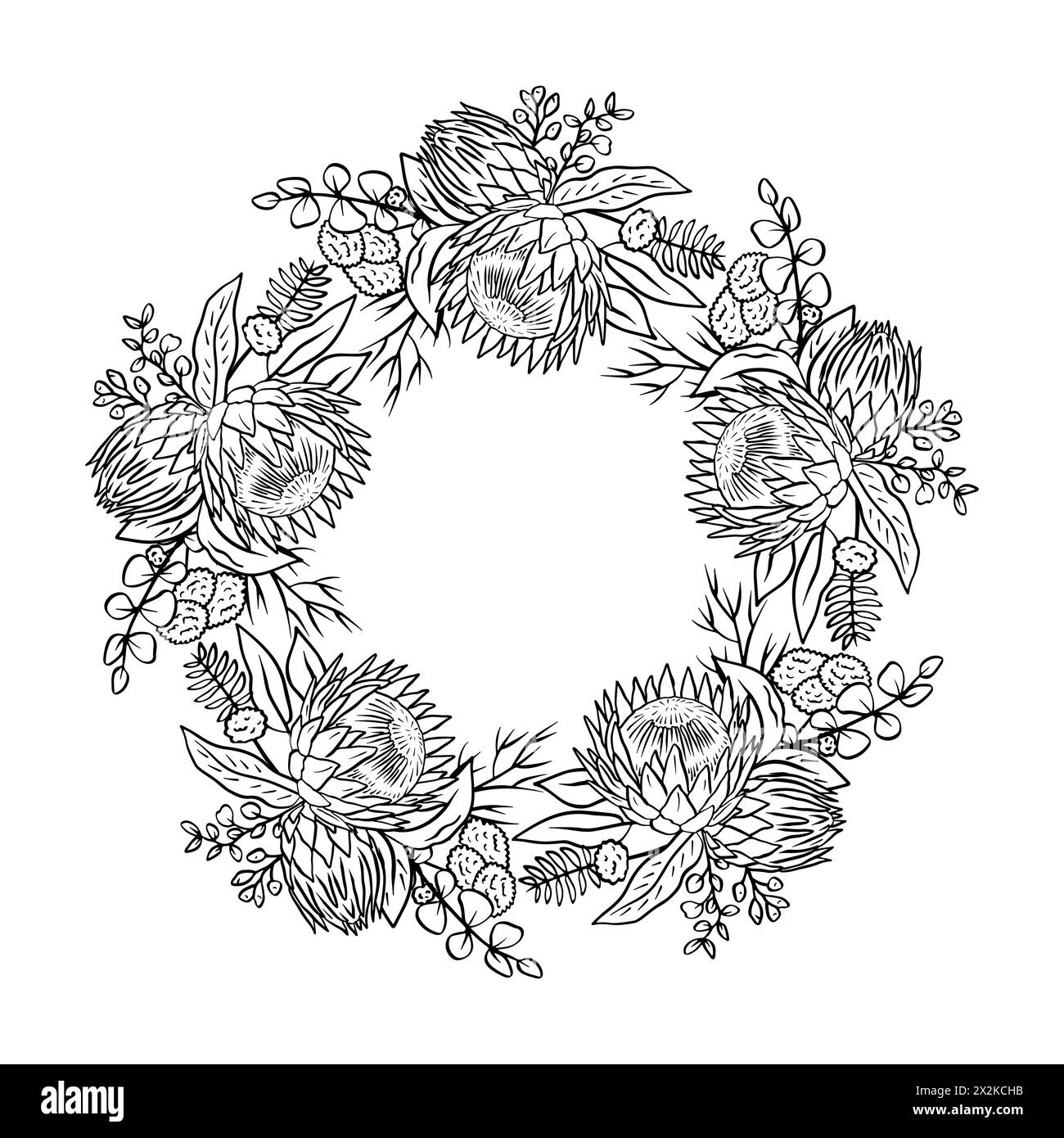 Hand drawn monochrome line art tropical protea flower round frame Stock ...
