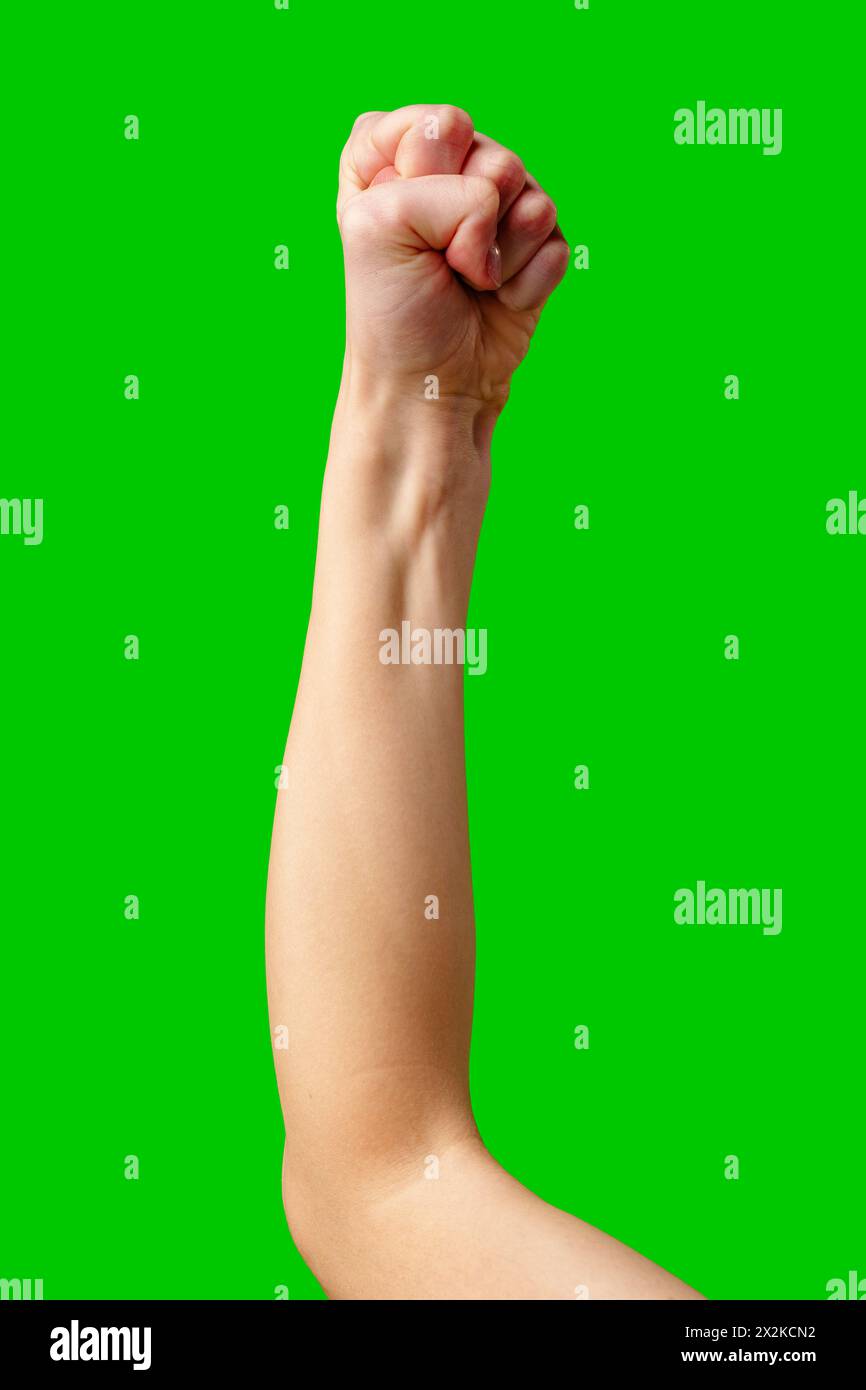 Green screen video editing hi-res stock photography and images - Alamy