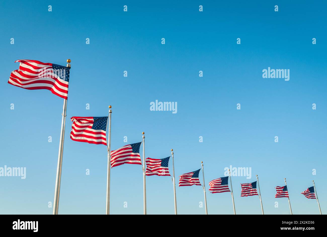 American Flags in a Circle at The Washington Monument Obelisk on the ...