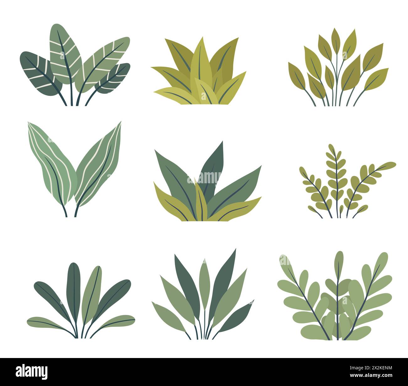 Vector set of tropical bushes isolated from background. Collection of ...