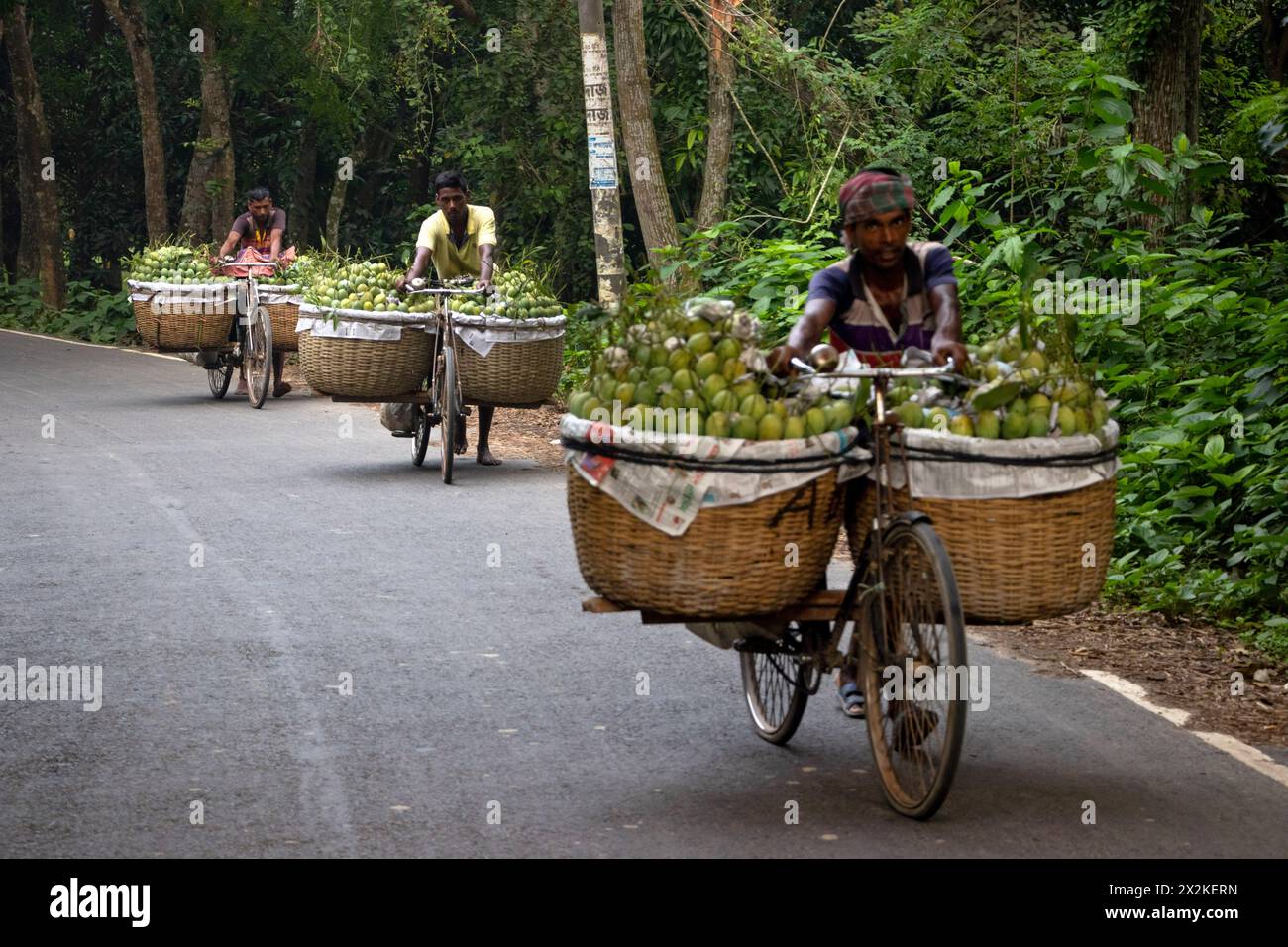 Developing countries bicycles hi-res stock photography and images - Alamy