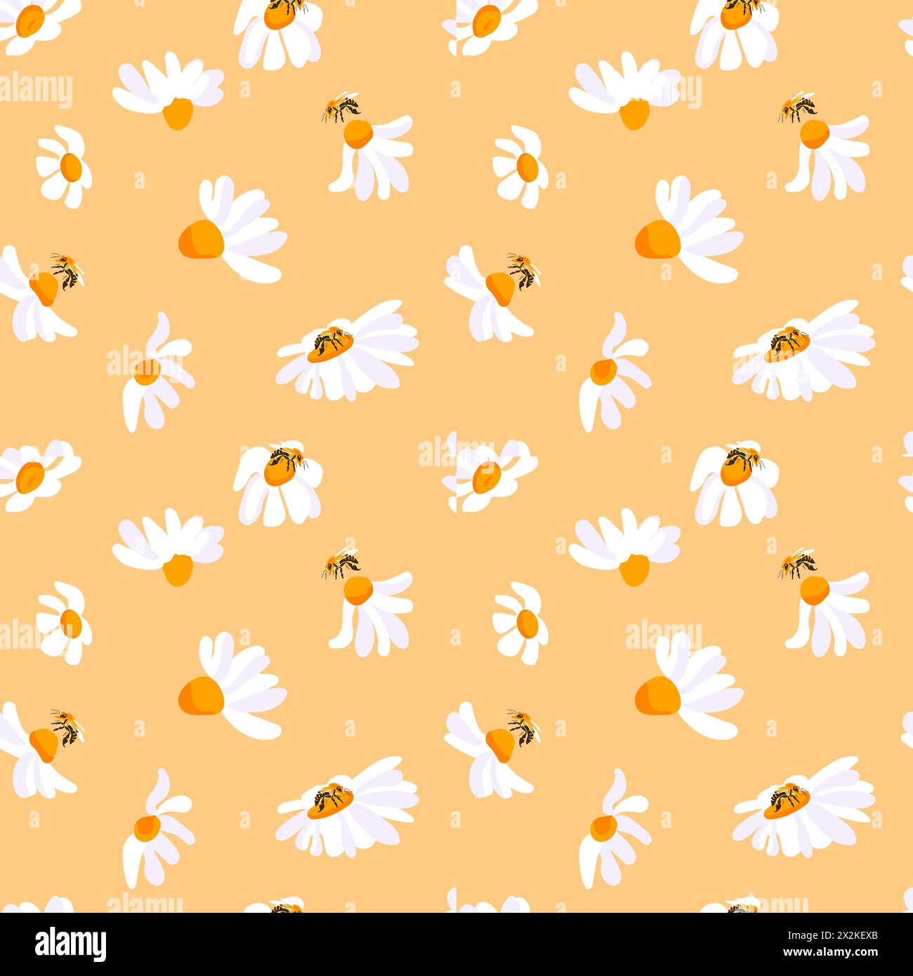 Summer pattern daisy bee yellow background. Insect white flowers ...