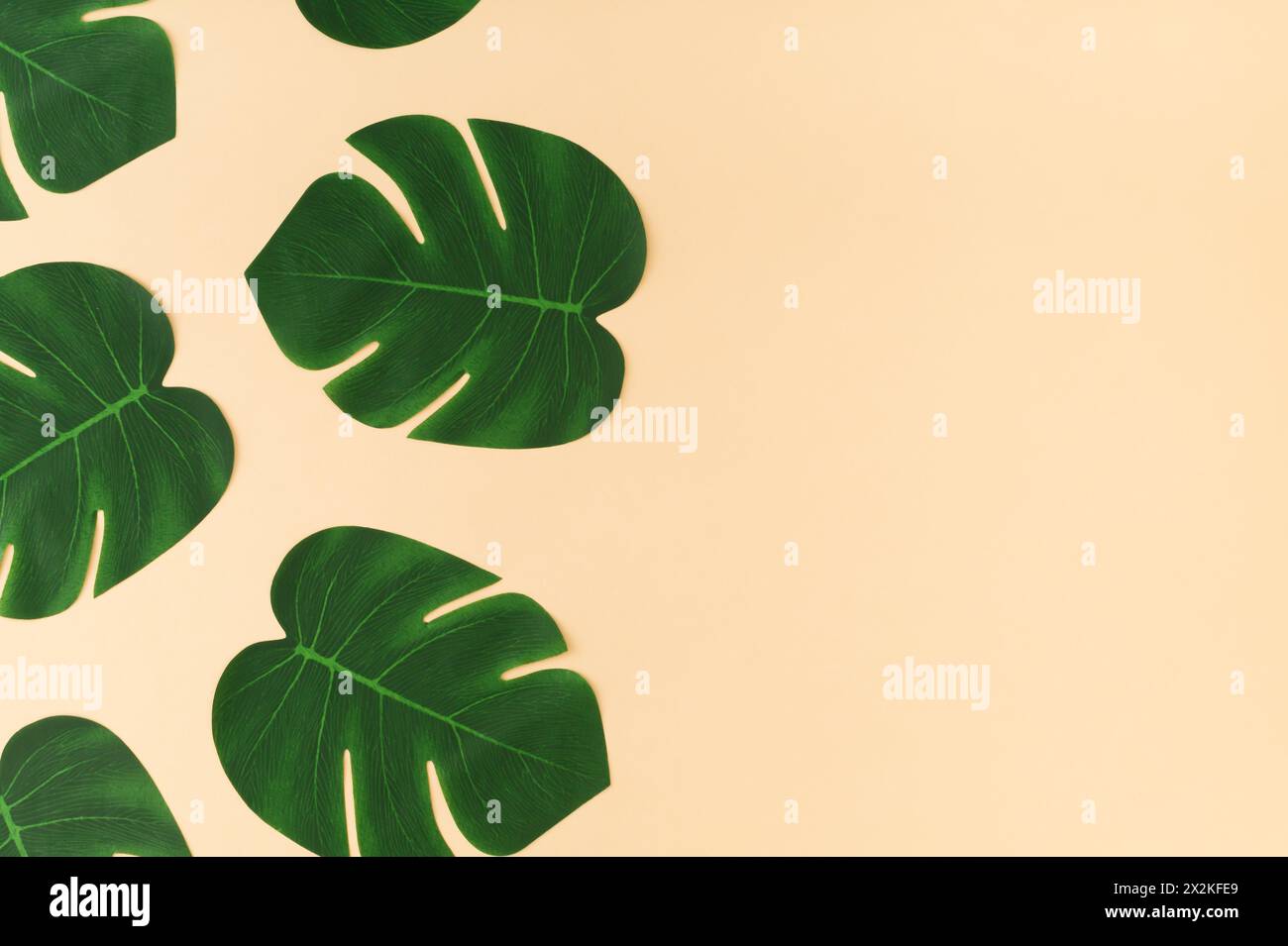 Jungle pattern hi-res stock photography and images - Alamy