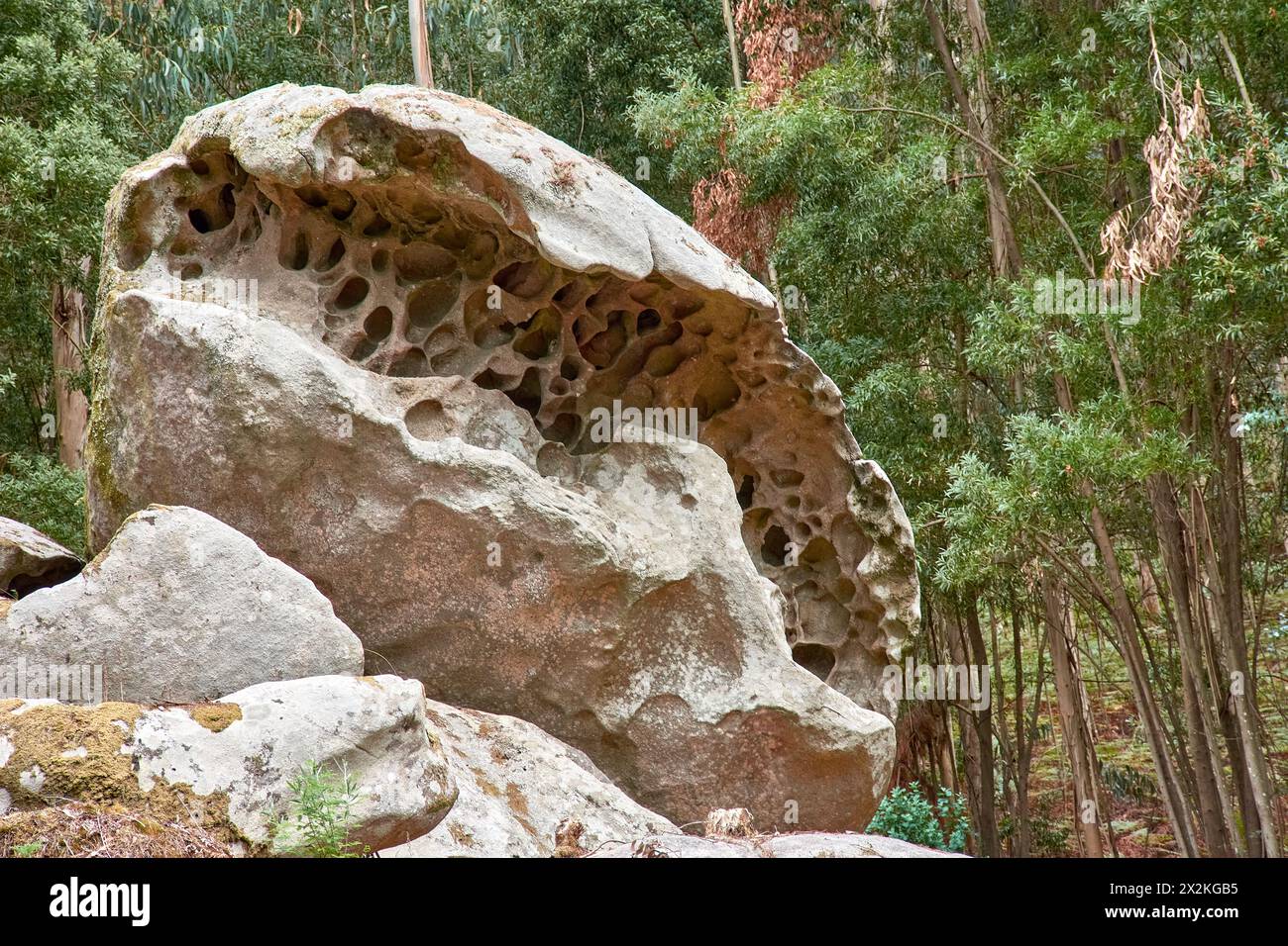 Peculiar shapes in the rocks produced by the wind on Tambo Island in ...