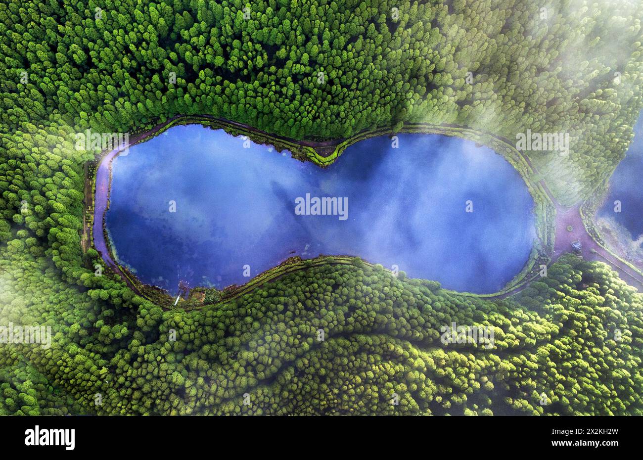 Aerial top down view of beautiful green waters of lake. Birds eye view ...