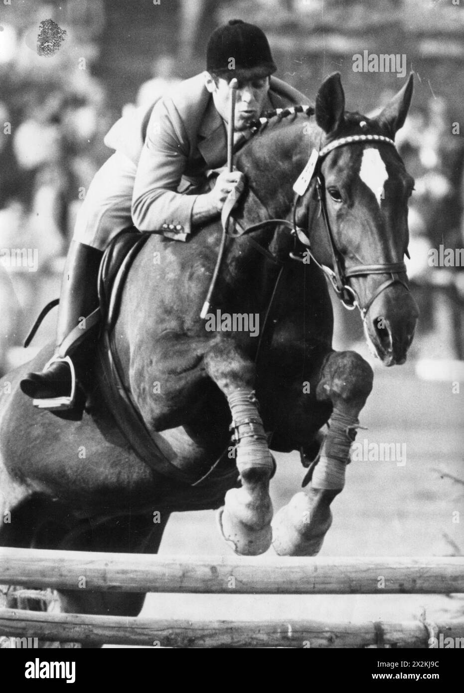 Schockemoehle, Alwin, * 29.5.1937, German jump jockey, on Donald Rex ...
