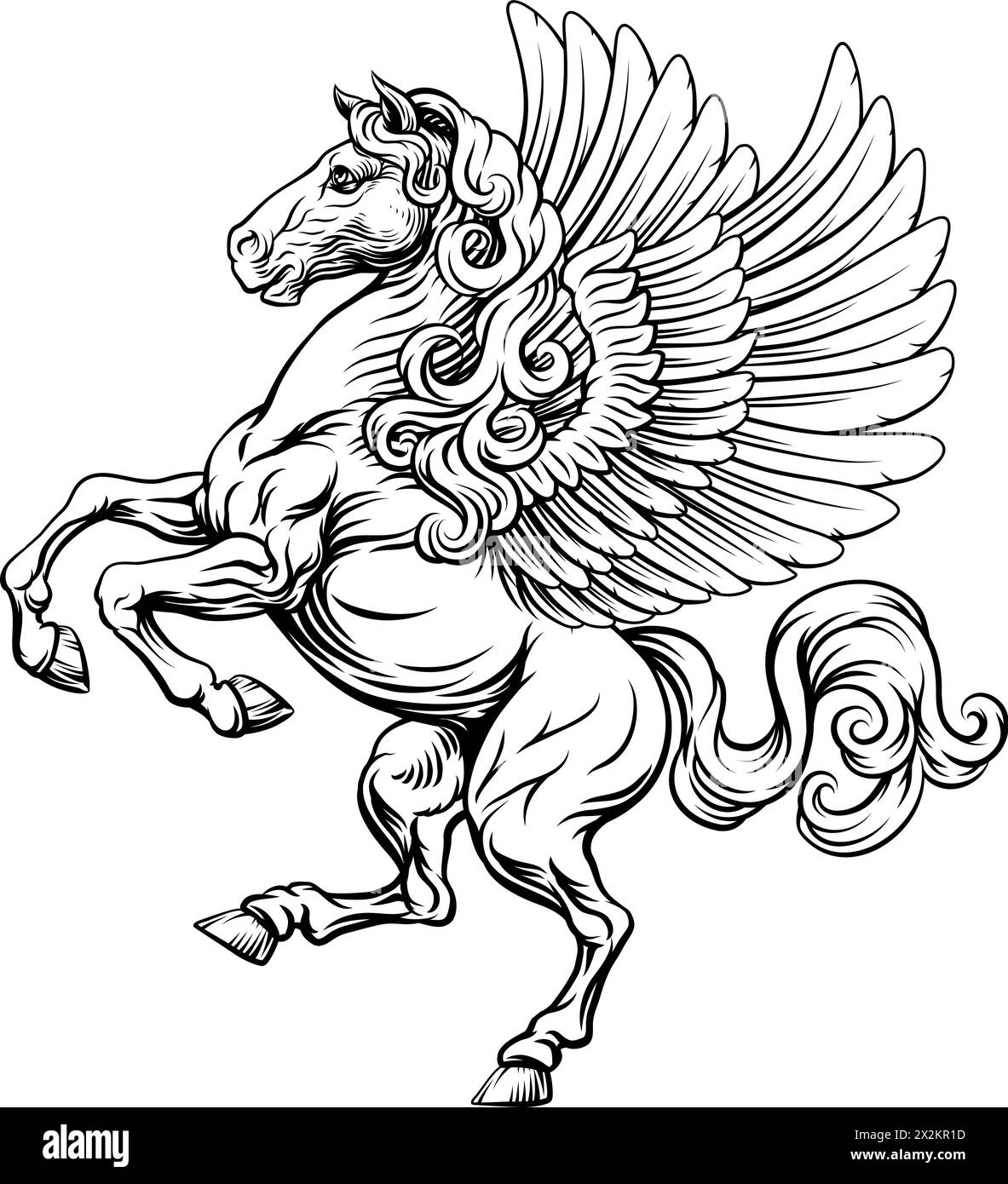 Pegasus Horse Crest Rampant Heraldic Coat of Arms Stock Vector Image ...