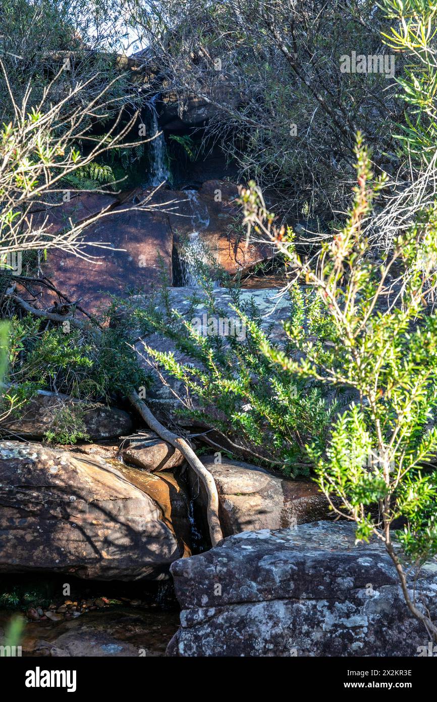Waterfall flowing water beside the America Track trail walk in Ku-ring ...