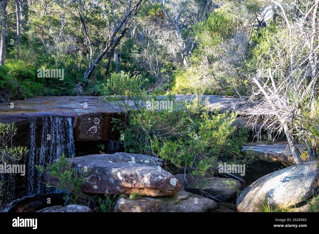 Waterfall flowing water beside the America Bay Track trail walk in Ku ...