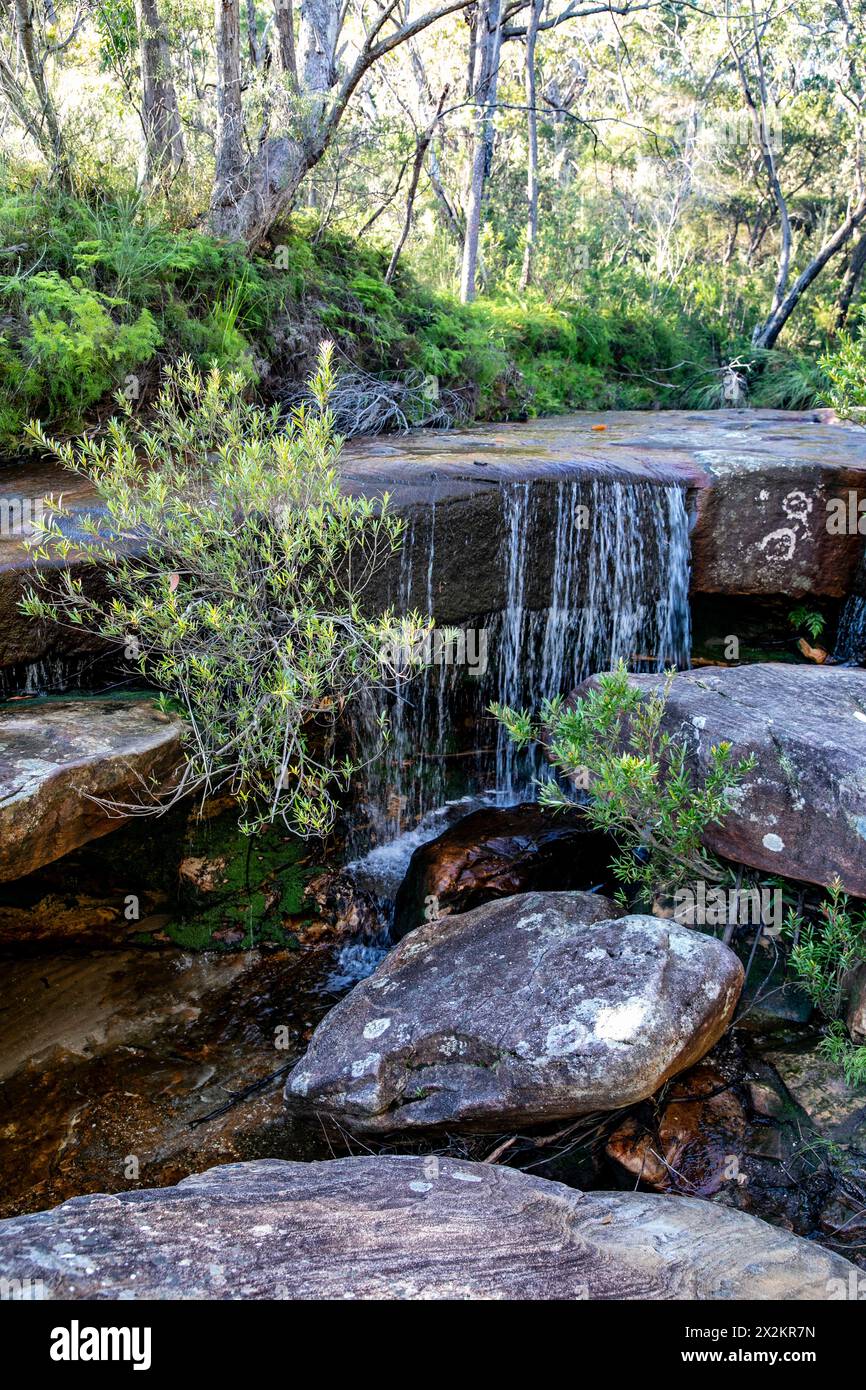 Waterfall flowing water beside the America Bay track trail walk in Ku ...