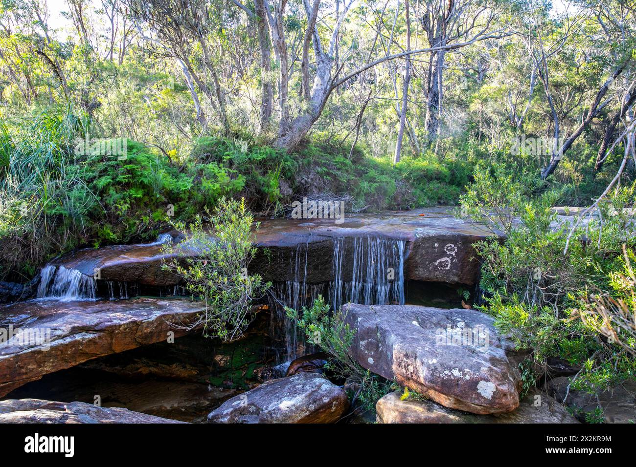 Waterfall flowing water beside the America Bay track trail walk in Ku ...