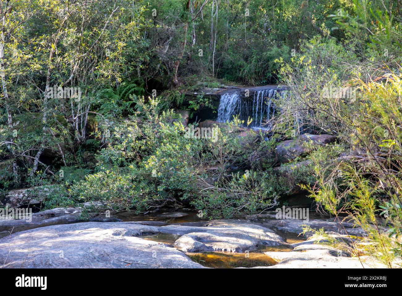 Waterfall flowing water beside the America Bay track trail walk in Ku ...