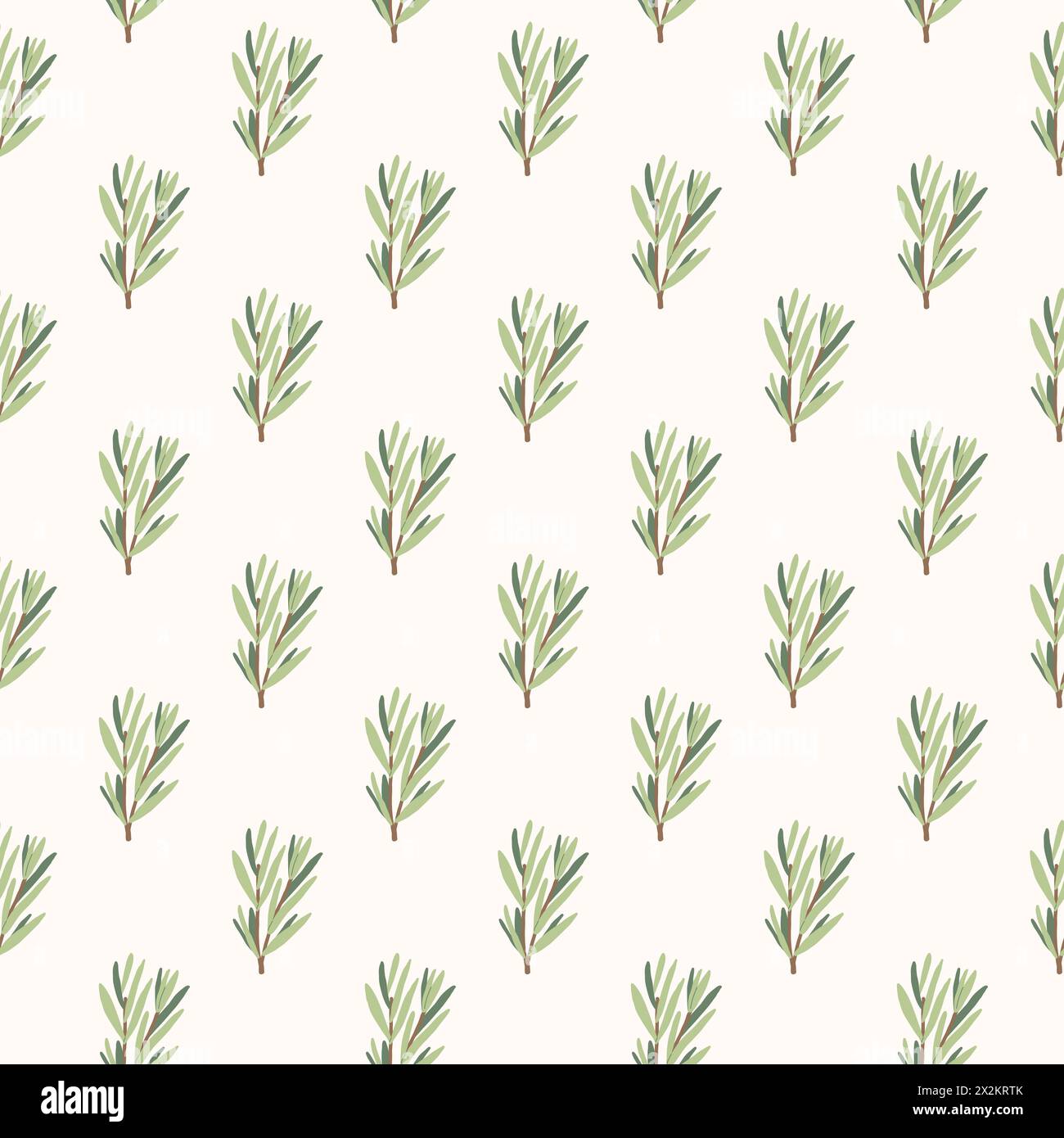 Rosemary herbs seamless pattern. Rosemary plant green leaves repeat background. Botanic branch ...