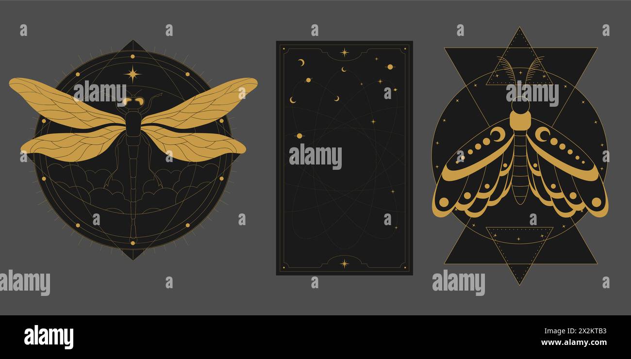 Vector mystic celestial set a with golden outline insects, moth, dragonfly, stars, crescents and ...