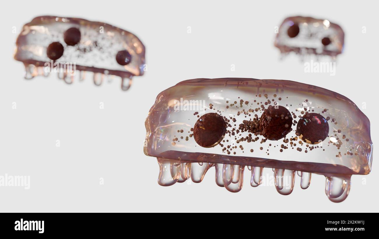 3d rendering of Osteoclasts, are the cells that degrade bone to ...