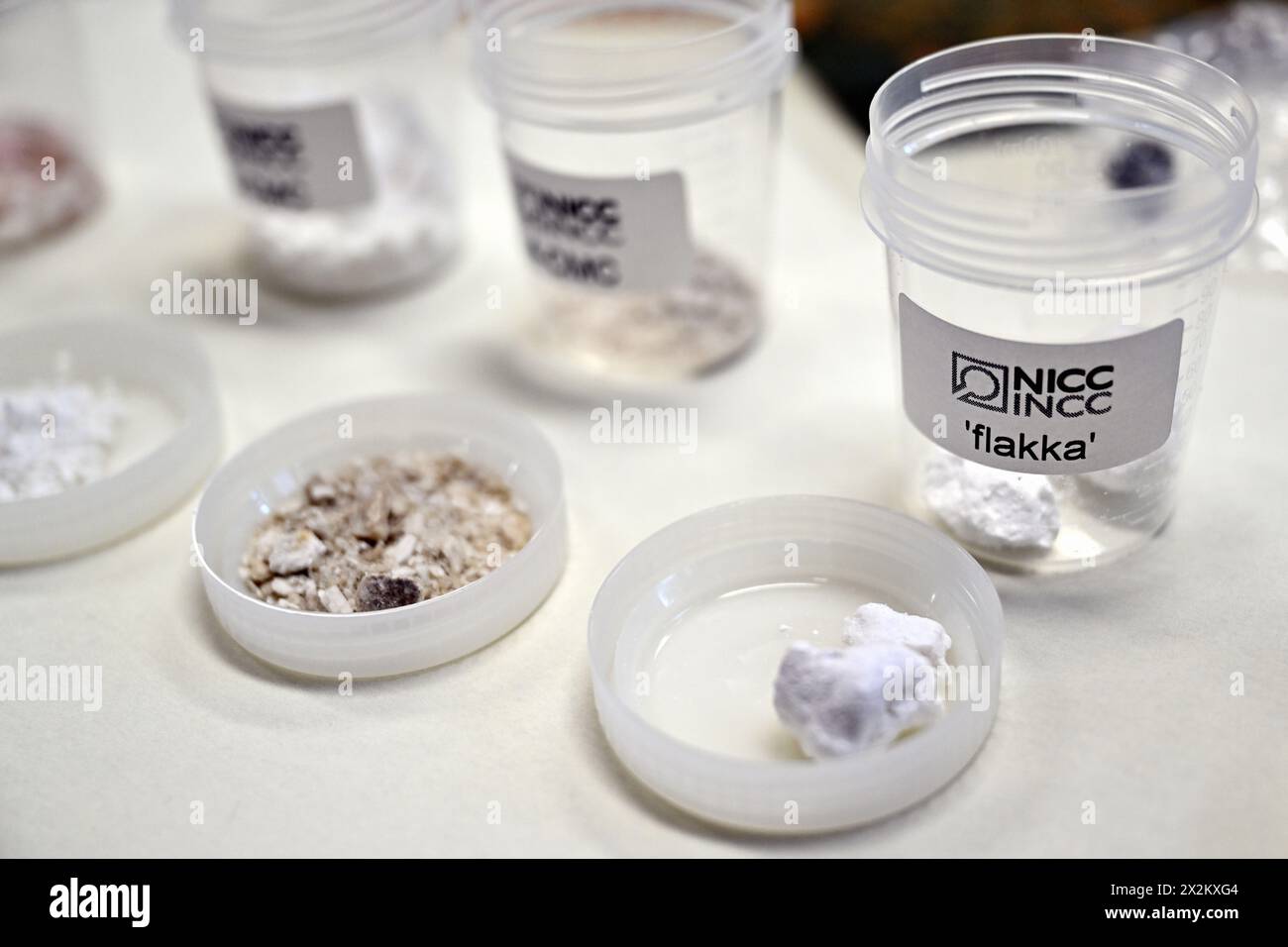 Brussels, Belgium. 23rd Apr, 2024. Flakka pictured during, the opening ...