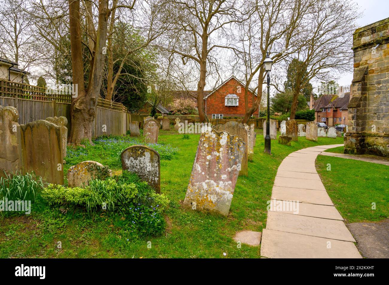 The churchyard with gravestones and forget-me-not flowers at St. Mary's ...