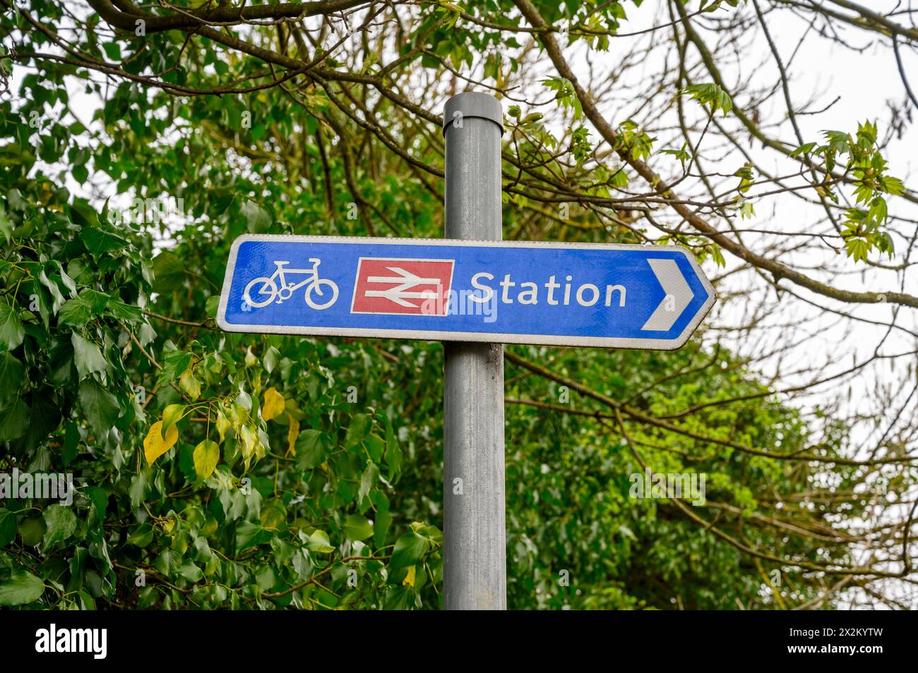 Signpost with directional sign for cyclists showing cycle path to the ...
