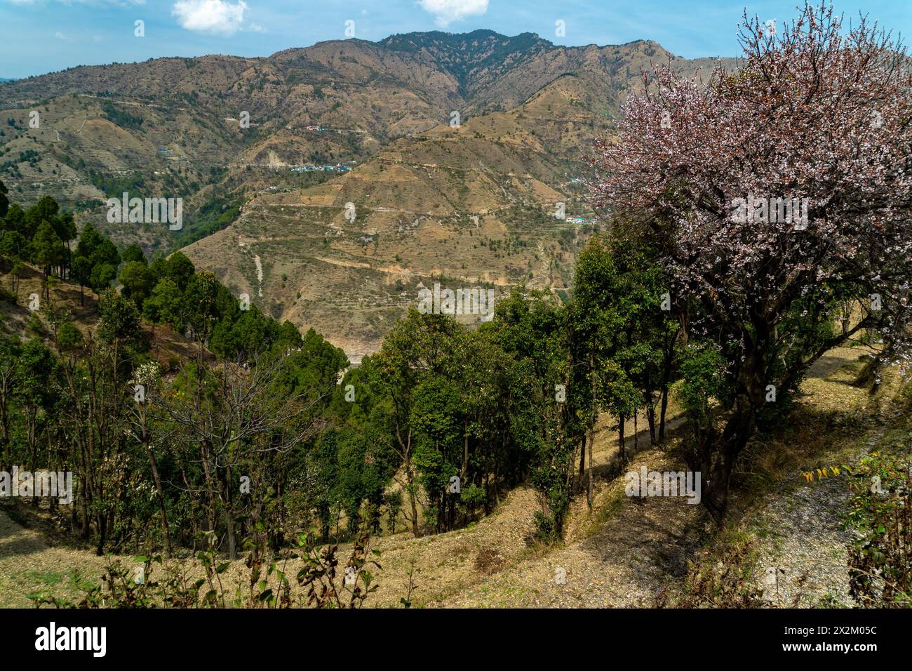 Explore the majestic beauty of deep valleys and mountain landscapes in ...