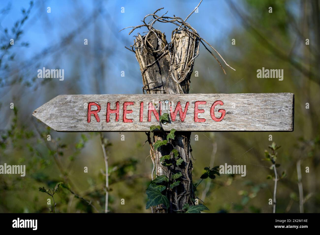 geography / travel, Germany, Baden-Wuerttemberg, sign Rheinweg (Rhine ...