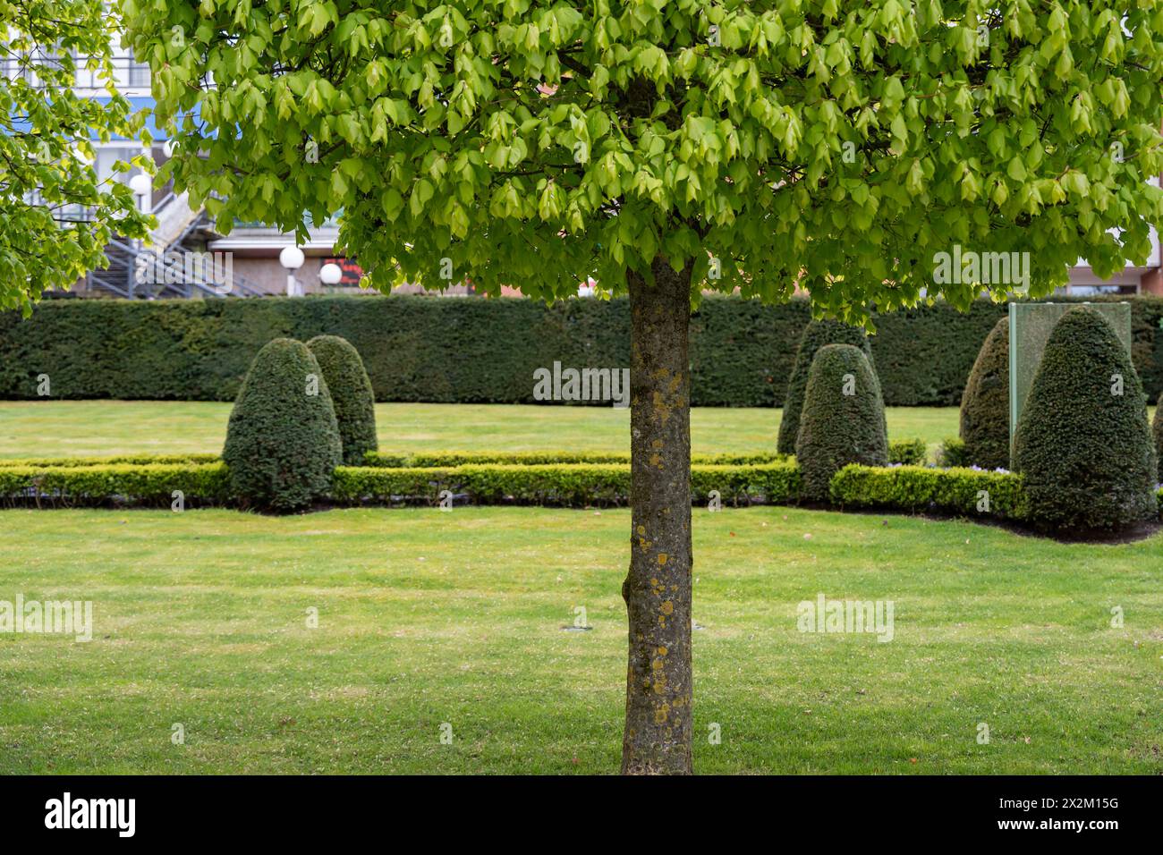 Neatly trimmed greenery hi-res stock photography and images - Alamy