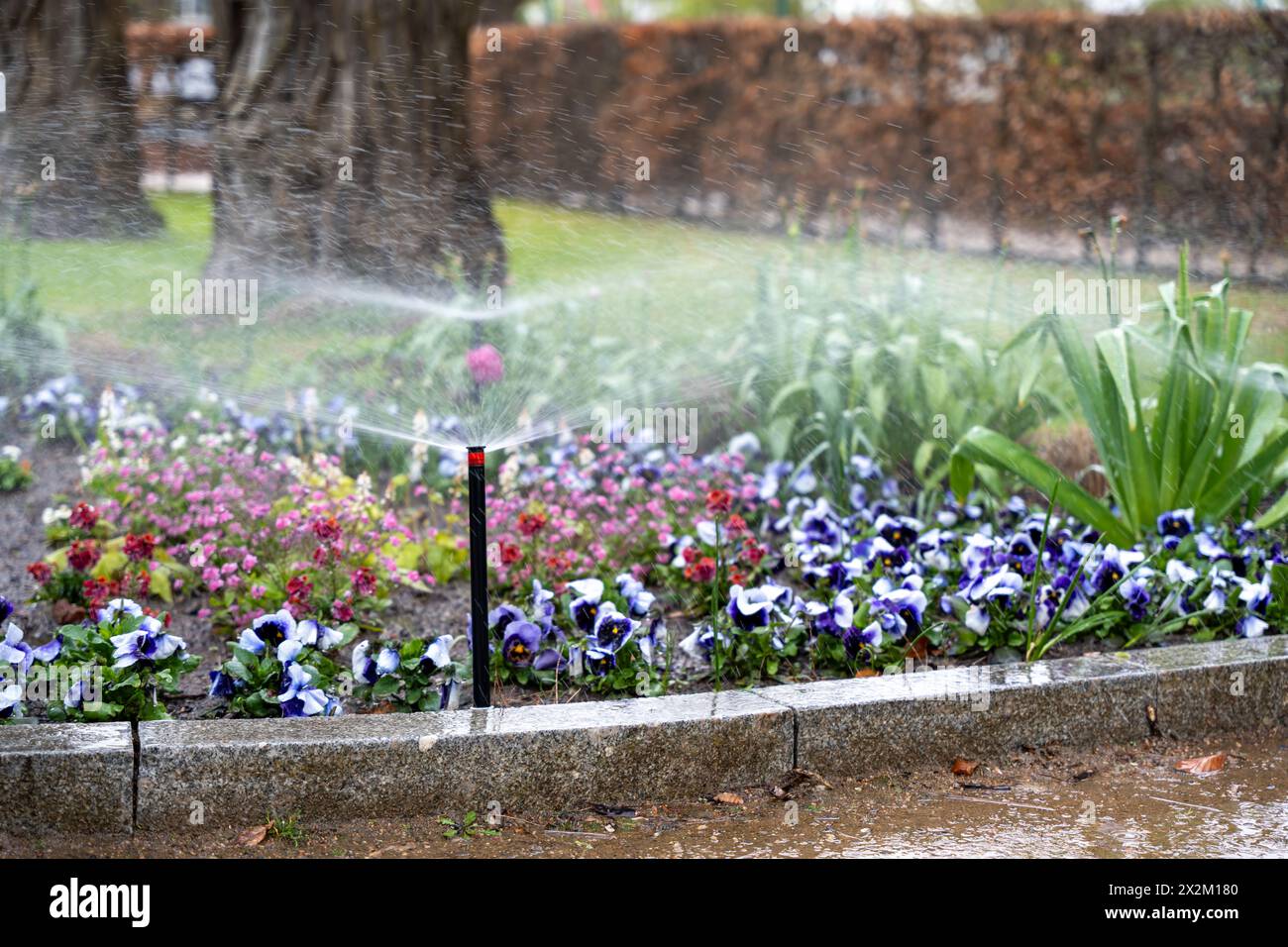 An electronic irrigation system waters the park's flowerbeds ...