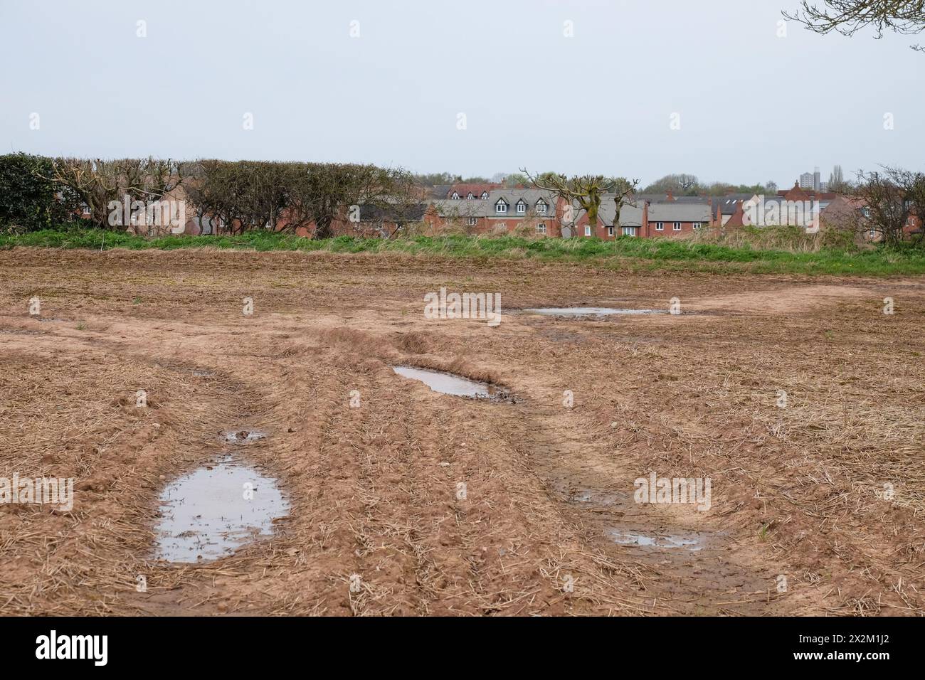 waterlogged farmers fields april 2024 Stock Photo - Alamy